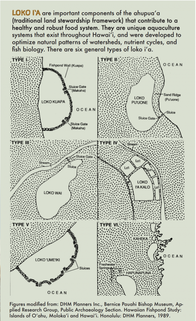 Hawaiian Fishponds Are Rebounding In The Face Of Rising Seas And ...