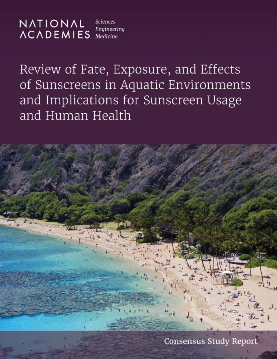 Report Raises Questions About The Effects Of Sunscreen On Marine Life ...