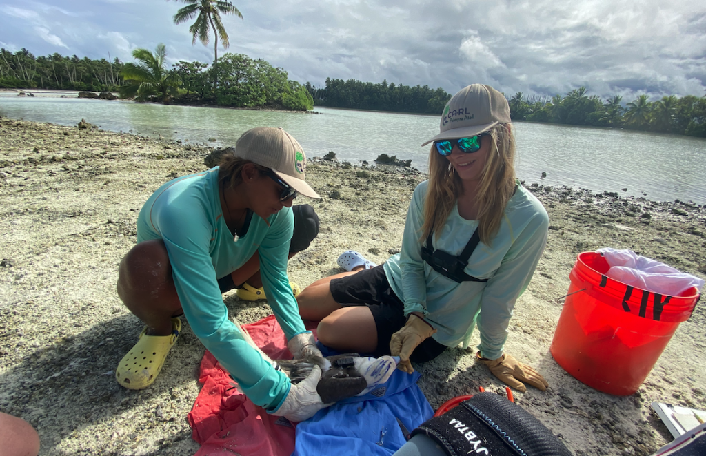 Biden Should Expand Pacific Remote Islands Marine National Monument ...