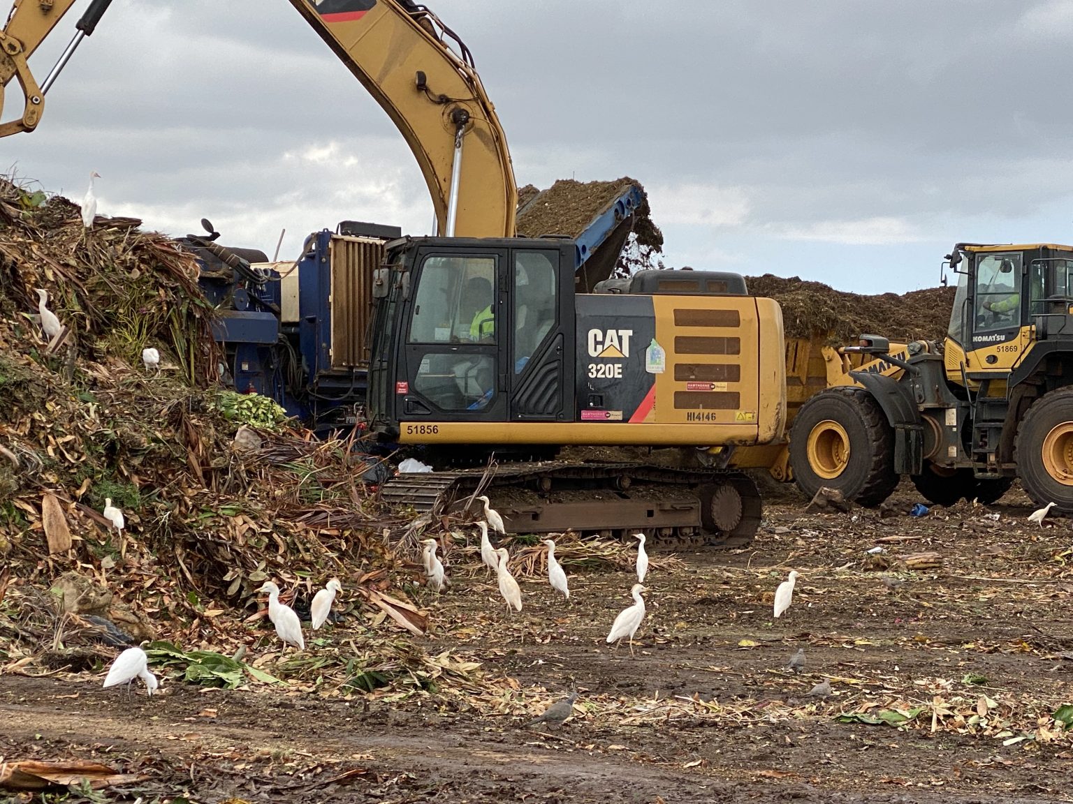 Sorting It Out: Why You Need To Throw Your Trash Into The Right Bins ...