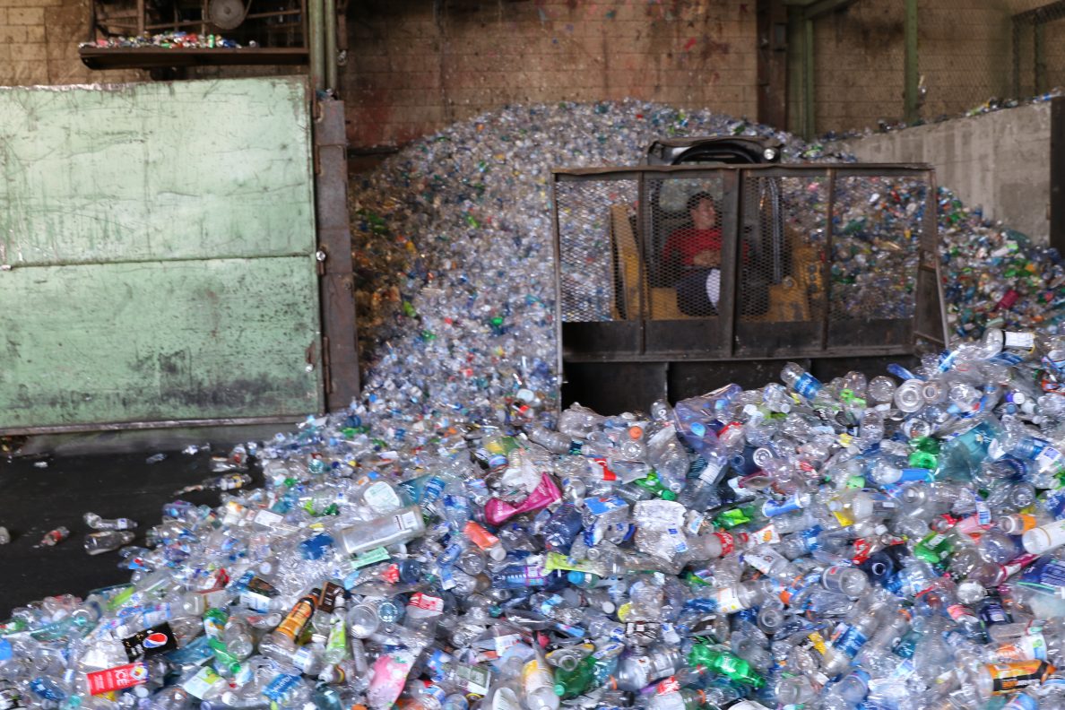 Sorting It Out: Why You Need To Throw Your Trash Into The Right Bins ...