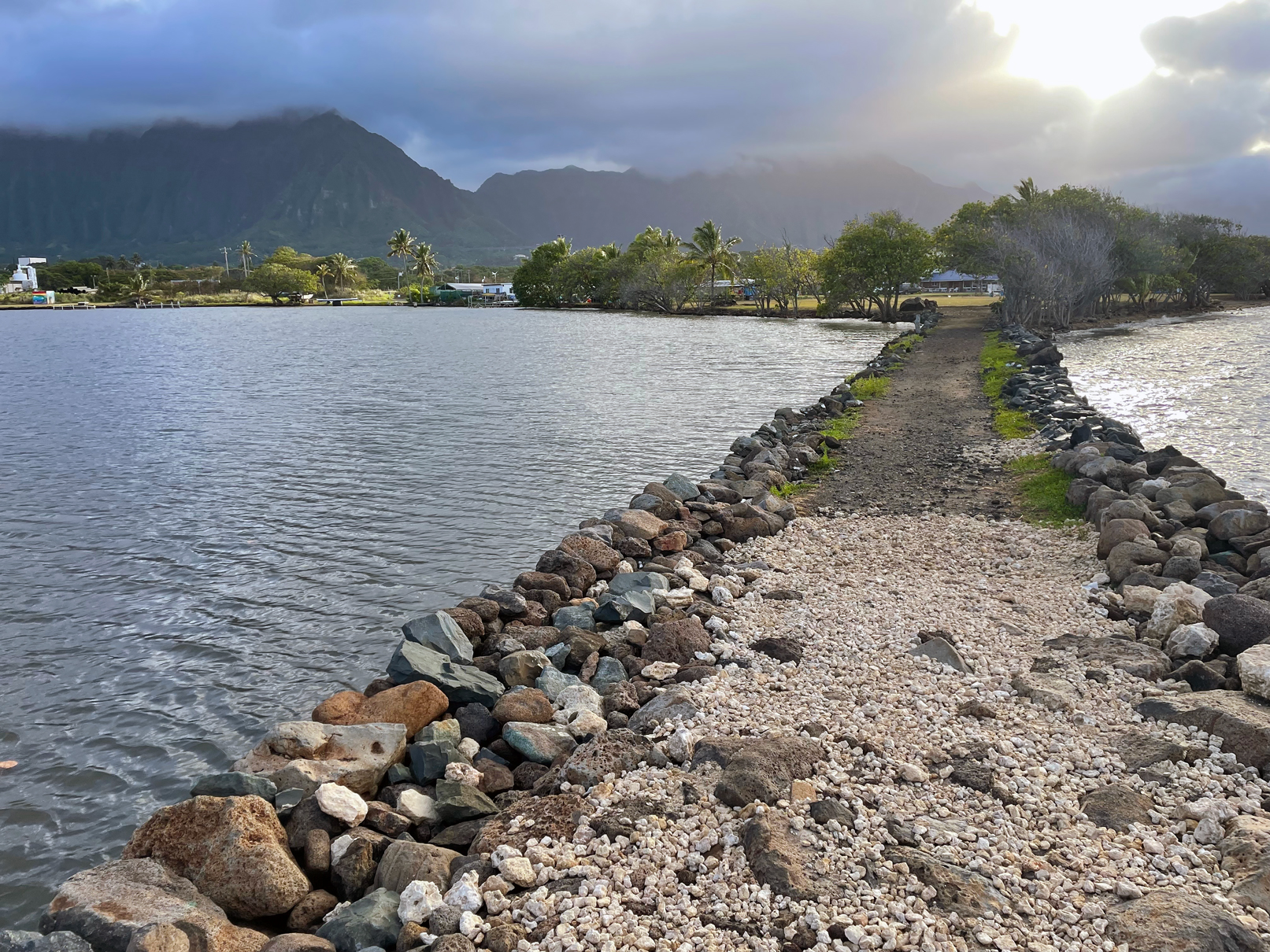 Hawaii's Aquaculture Industry Is Set To Boom But It Needs State Help ...