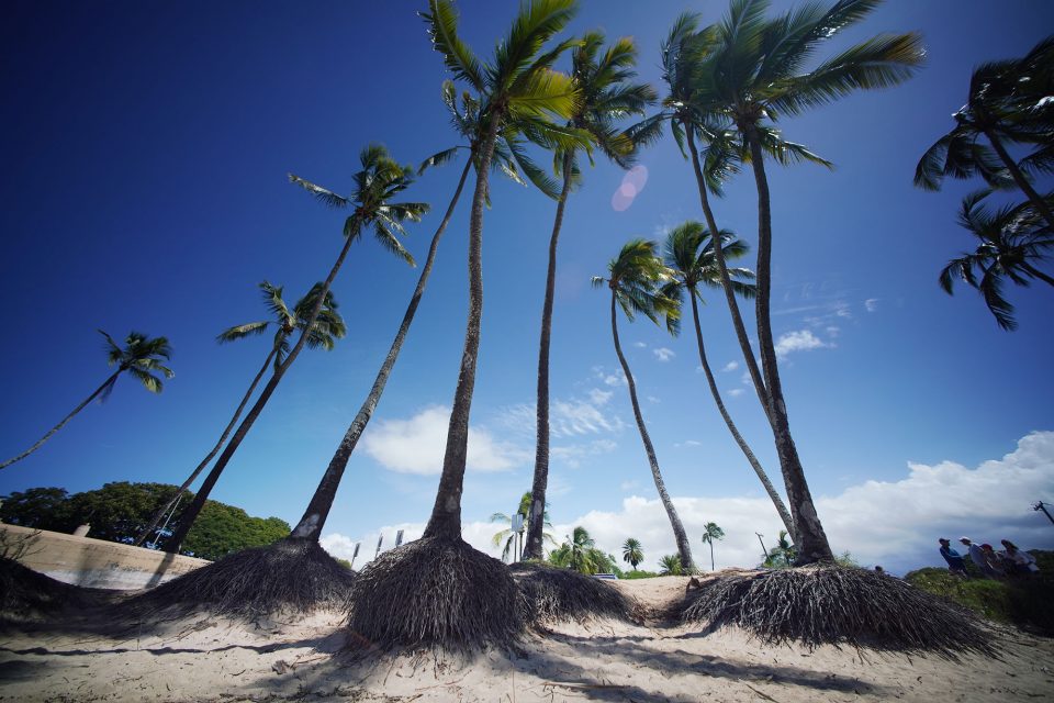 Pacific Islands Need More Climate Change Funding. They Also Need Help ...