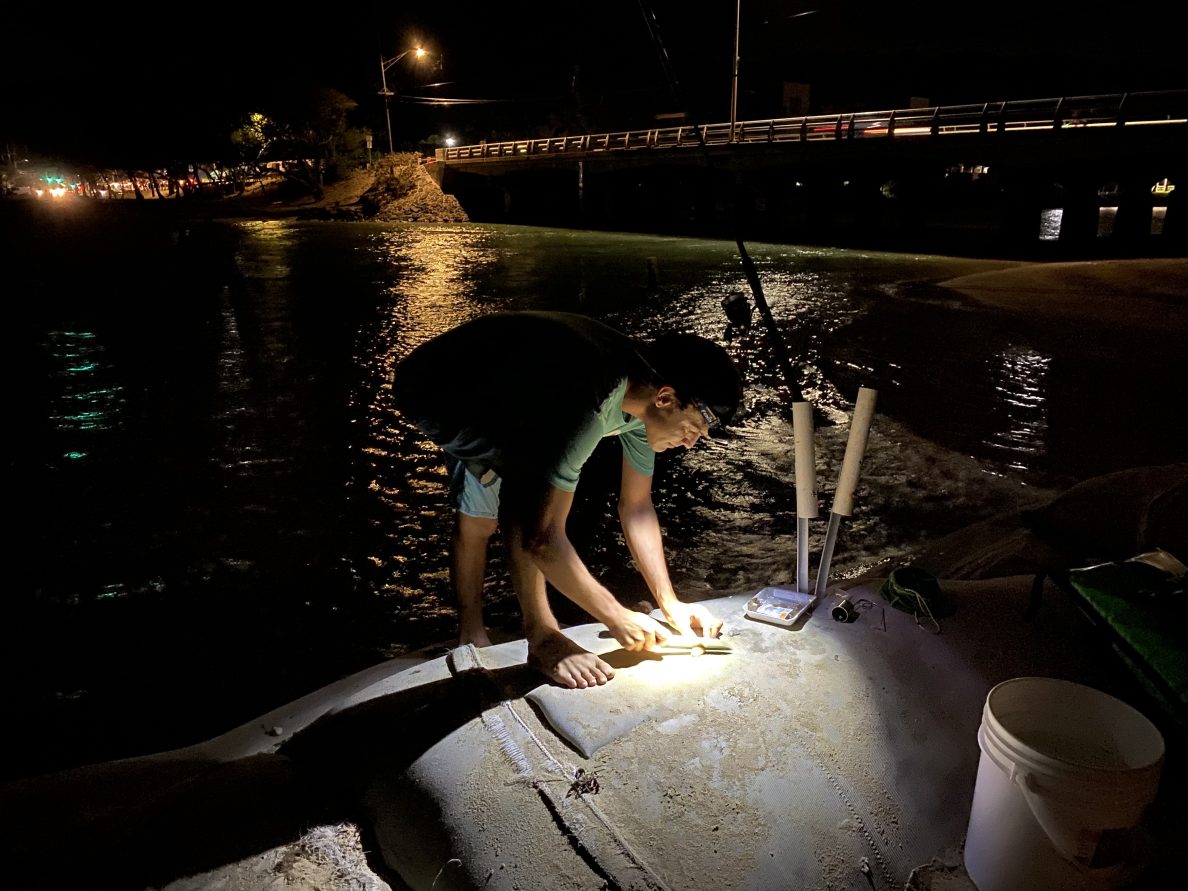 Fishing For Likes: Has Social Media Affected Ulua Fish Stock In Hawaii ...