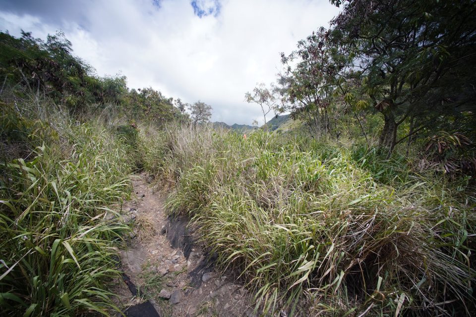 Should A Honolulu Land Conservation Fund Be Used For Maintenance ...