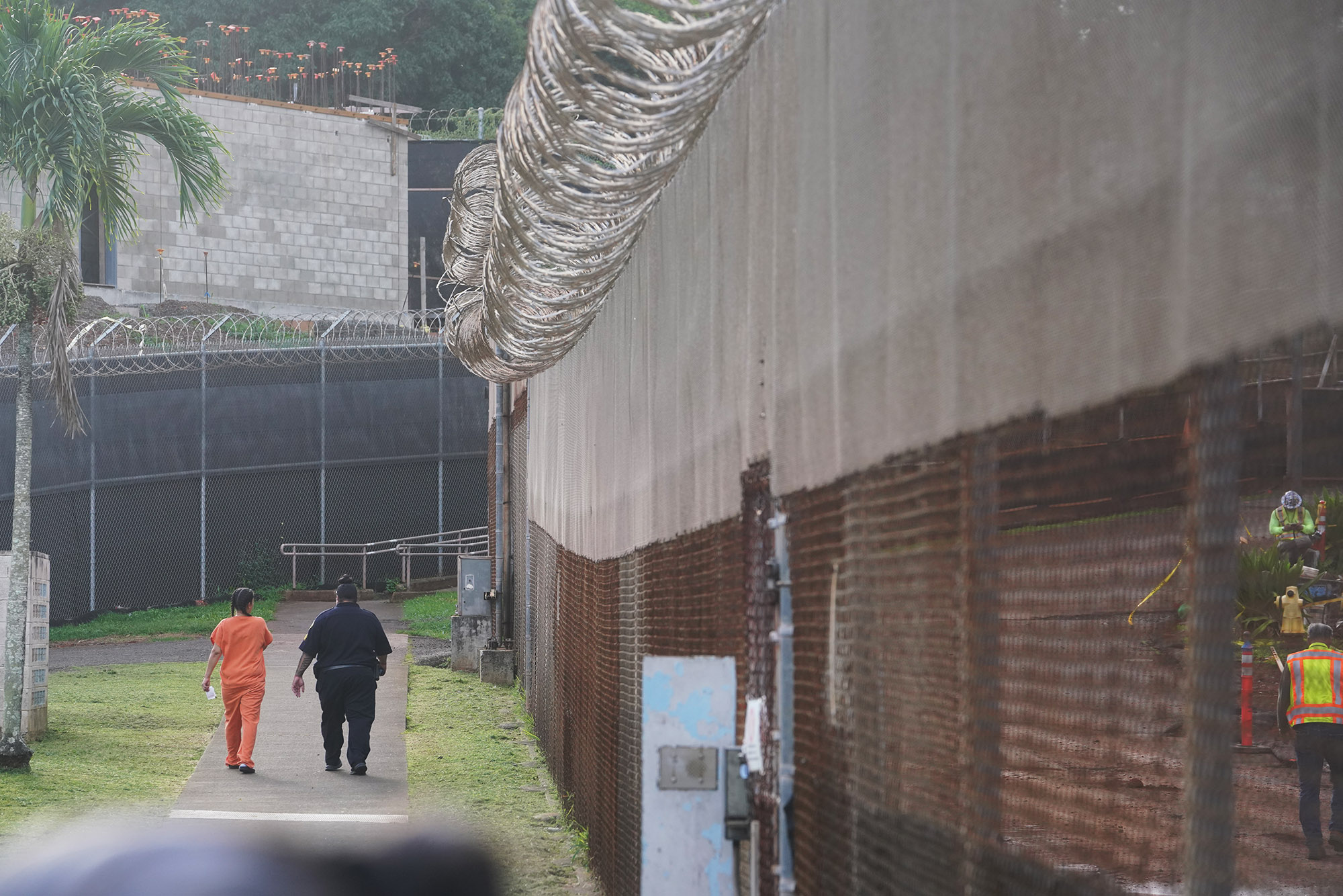 Placing Stray Cats In Hawaii Women's Prison Could Have 'Transformative ...