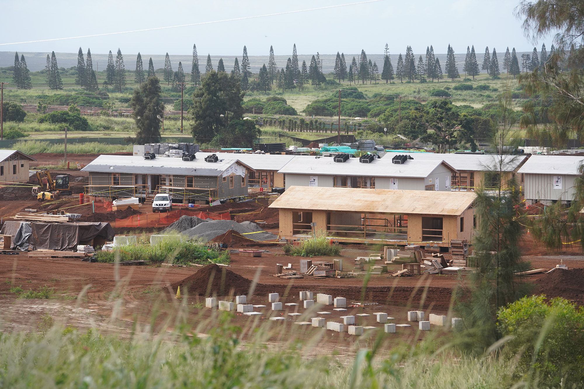 Larry Ellison's Company Helps Hawaii Find Housing For Key Mental Health Hire - Honolulu Civil Beat