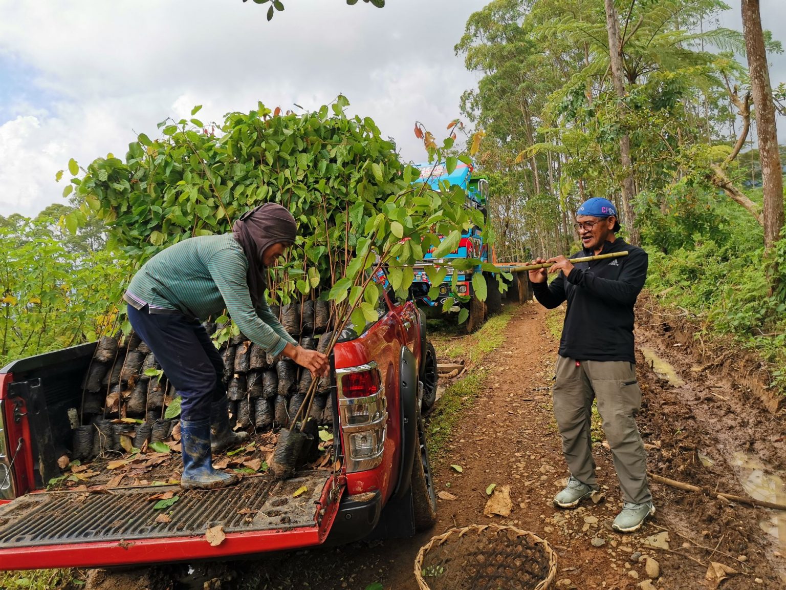 The Talaandig Tribe Of The Southern Philippines Shows That ...