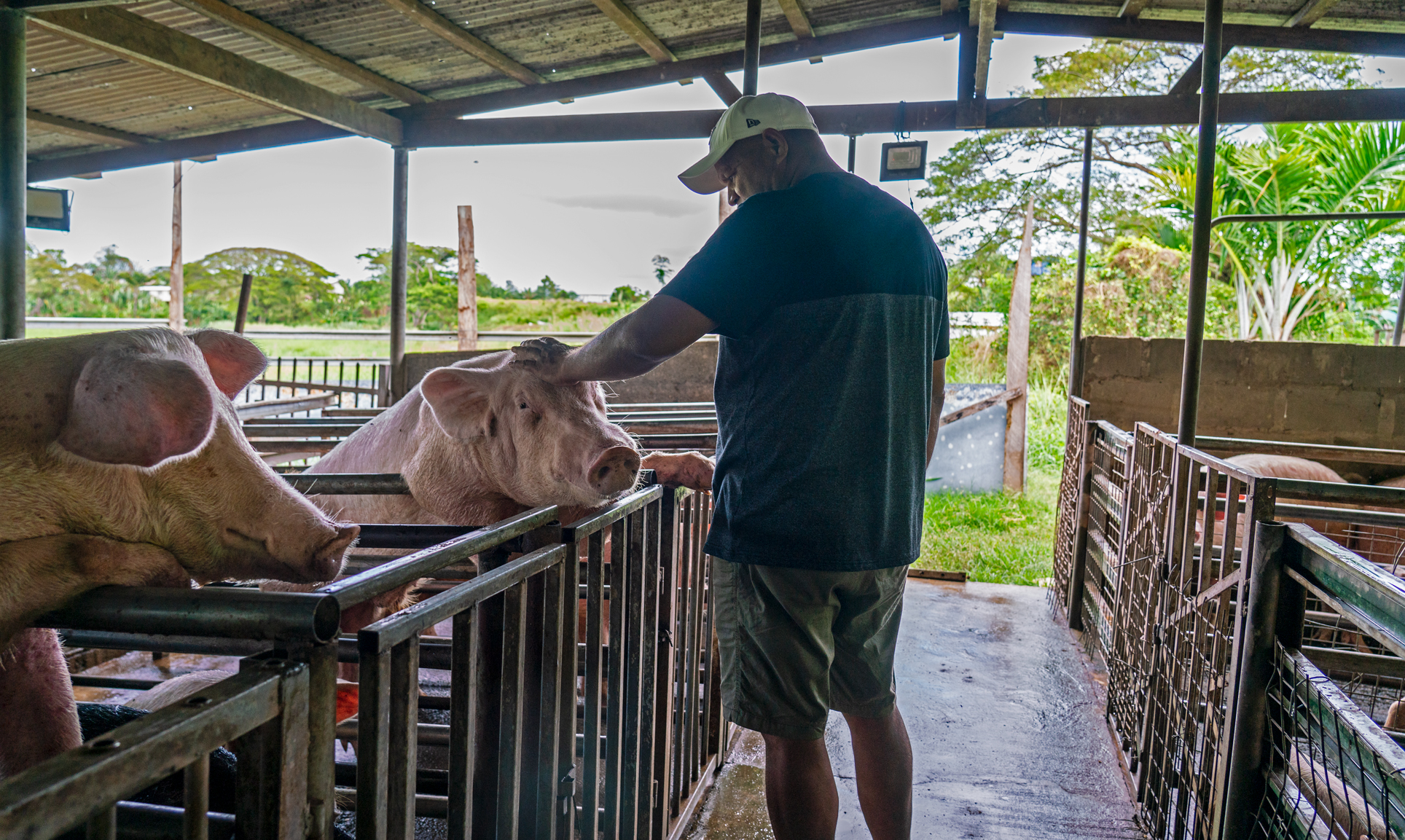 The Solomon Islands Is Doing Little To Help Its People Deal With Deadly ...