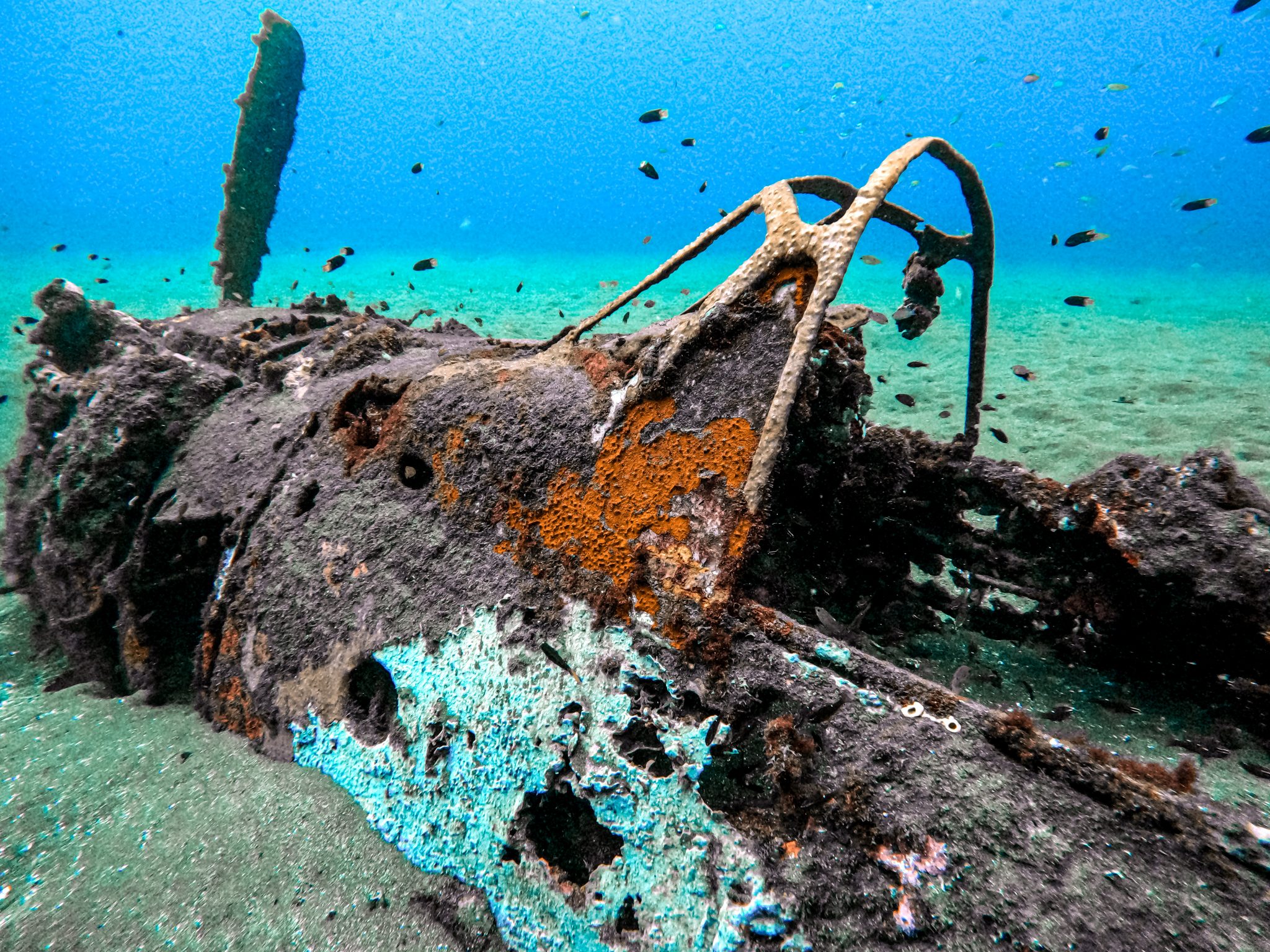 ‘Ticking Ecological Time Bombs’: Thousands Of Sunken Ships From WWII ...