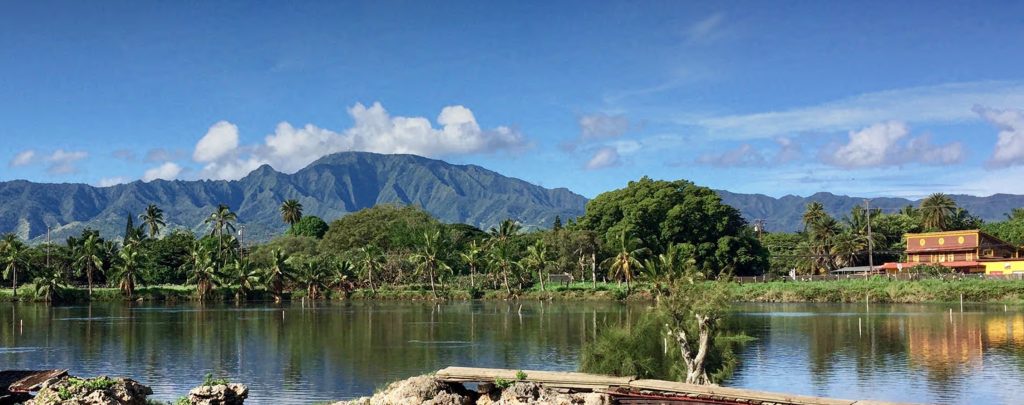 Hawaii Nonprofit To Begin Dredging Of Loko Ea Fishpond - Honolulu Civil ...
