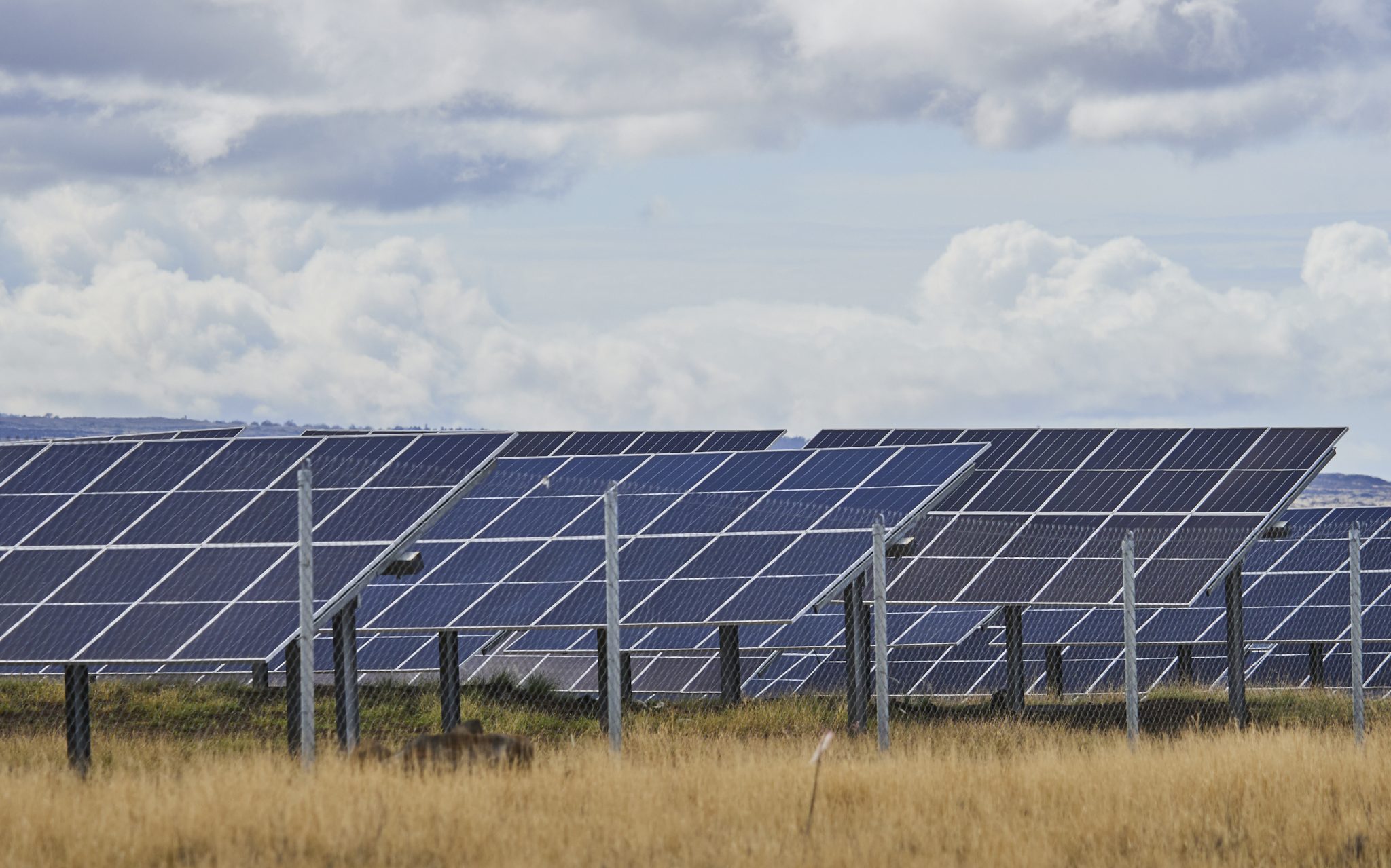 Zero Emissions By 2045? Maybe With Geothermal Or Advanced Nuclear ...