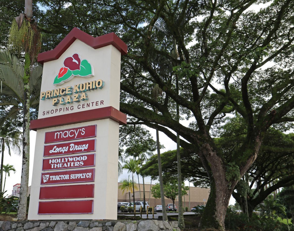 In A Hilo Rematch, Senate Candidates Differ On The Economy And Tourism ...