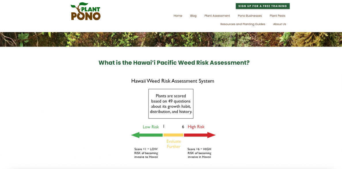 Hawaii Plans To Update Its Noxious Weeds List. Local Environmentalists ...