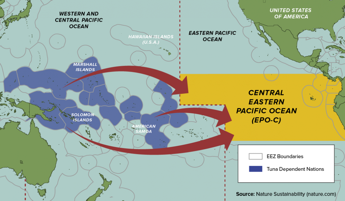 Pacific Nations Are Bracing To Lose Tons Of Tuna From Their Waters ...