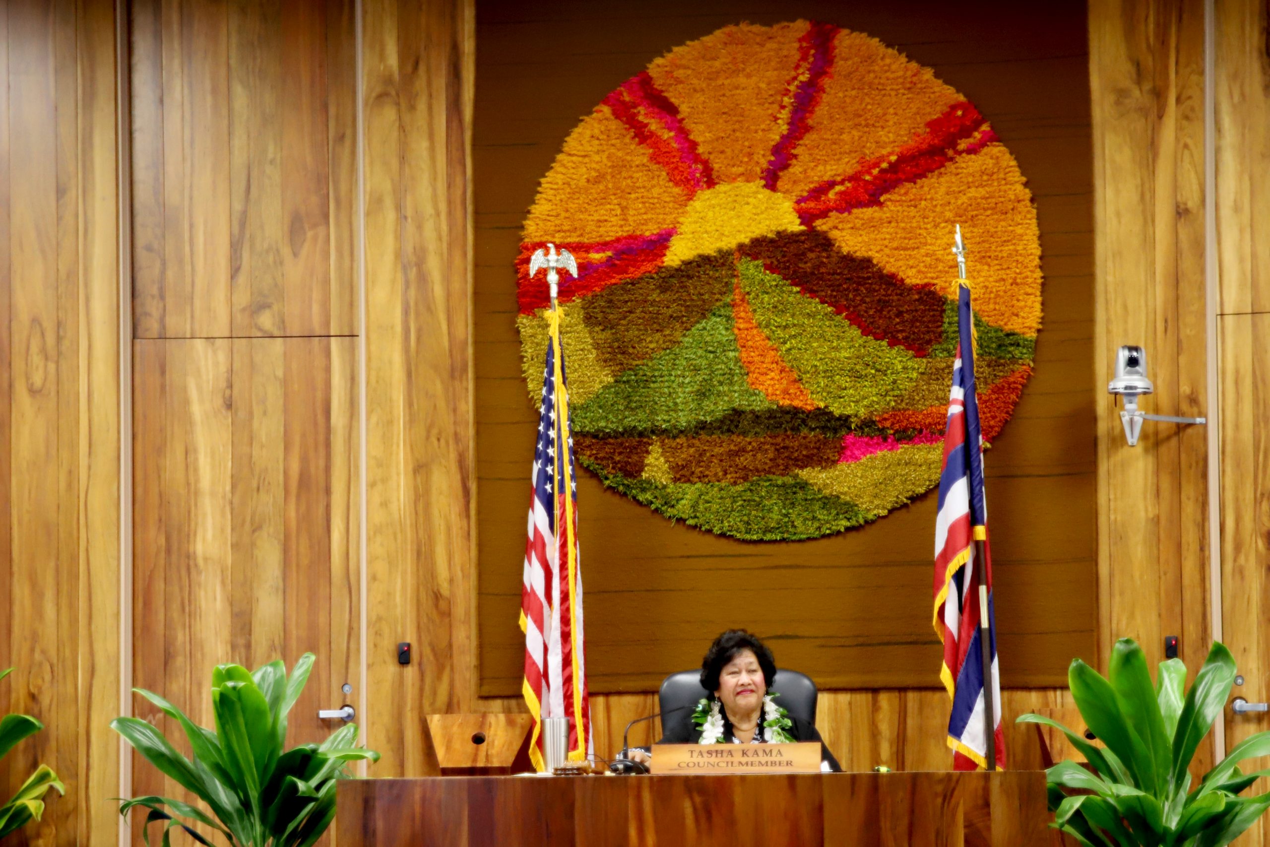 Your 2023 Maui County Council Guide: Everything You Need To Know ...