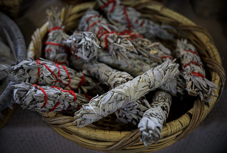 The Use Of Sage In Purification Rituals Comes At A Cost - Honolulu ...