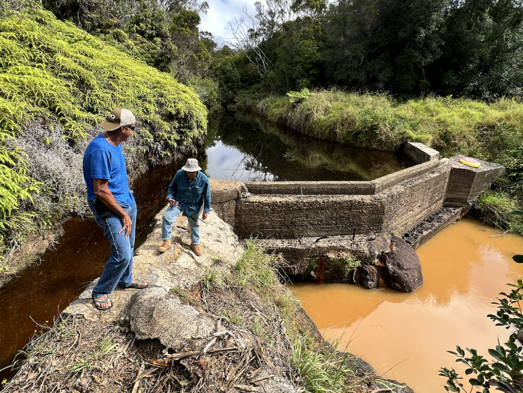 The Shift To A Green Energy Future Is Renewing Plantation-Era Water ...
