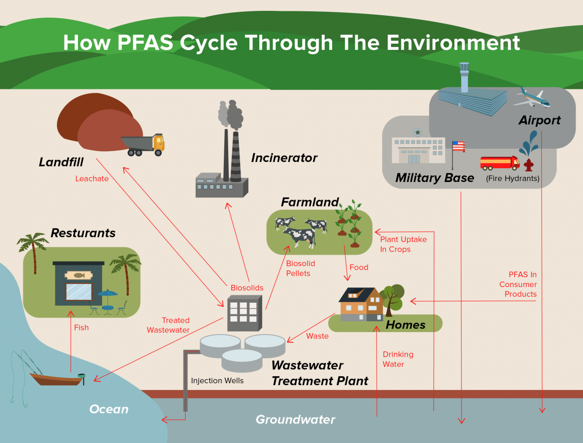'Forever Chemicals' Have Been Found In Hawaii’s Environment. Now What ...