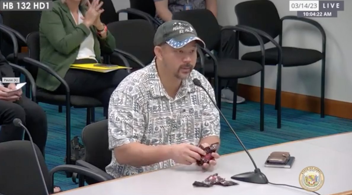 The Sunshine Blog: Candy Coated Opposition, Bills Hitting The Gov's ...