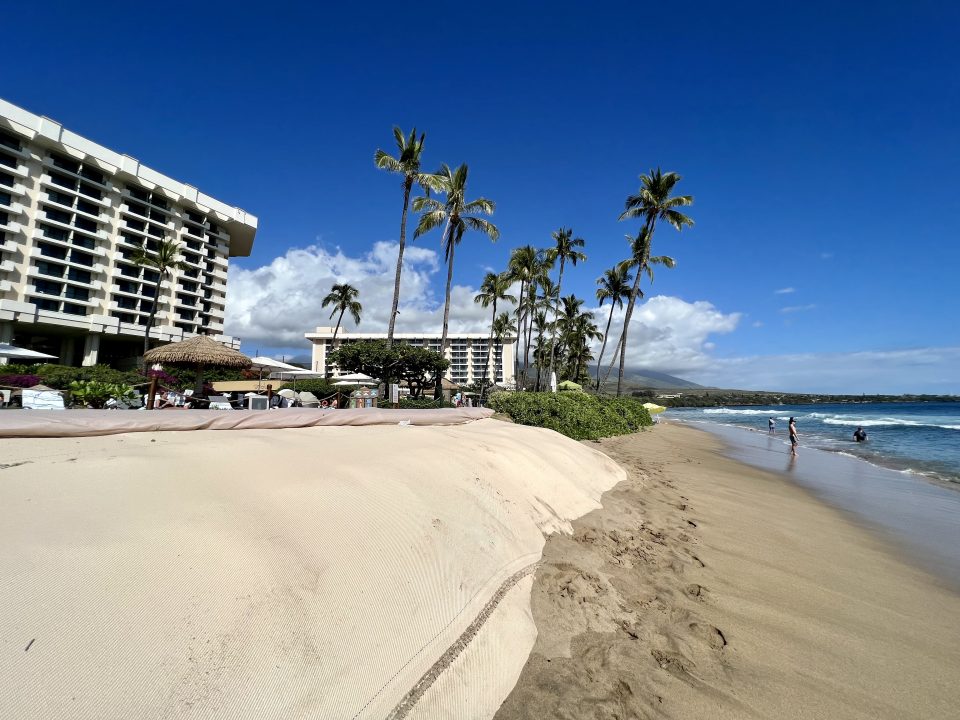 Hawaii Is Giving Maui Resorts Their Money Back Instead Of Helping Shore ...
