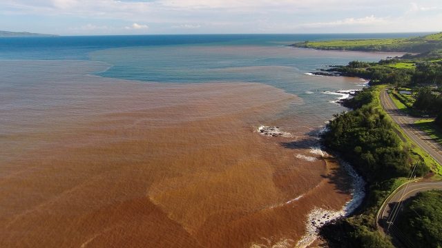 Caring For Our Oceans Starts On The Land - Honolulu Civil Beat