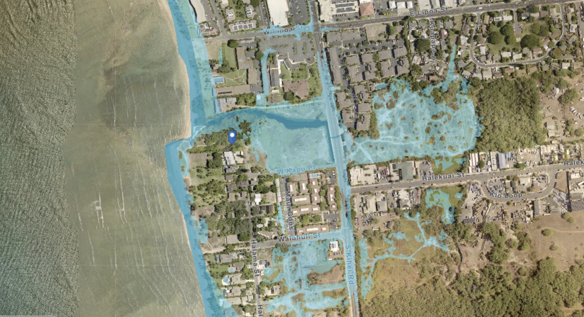 Maui Residents Fight To Save Kihei’s Last Wetlands - Honolulu Civil Beat