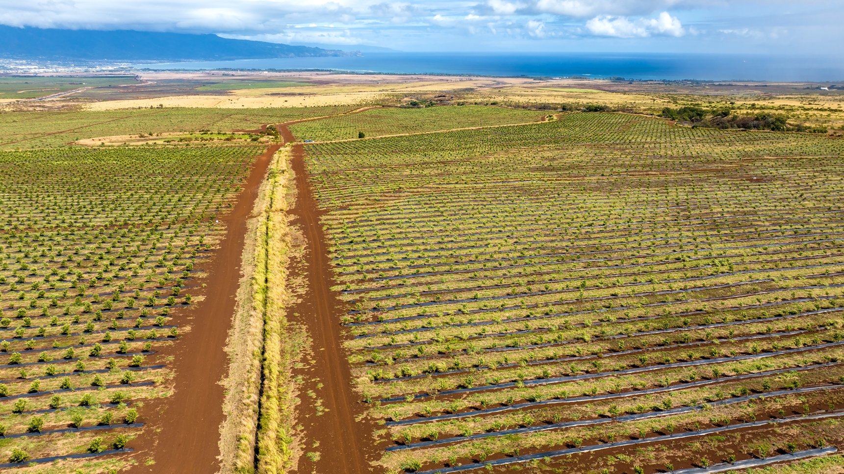 Maui's Contentious Water Saga Is Bubbling Up This Week - Honolulu Civil ...