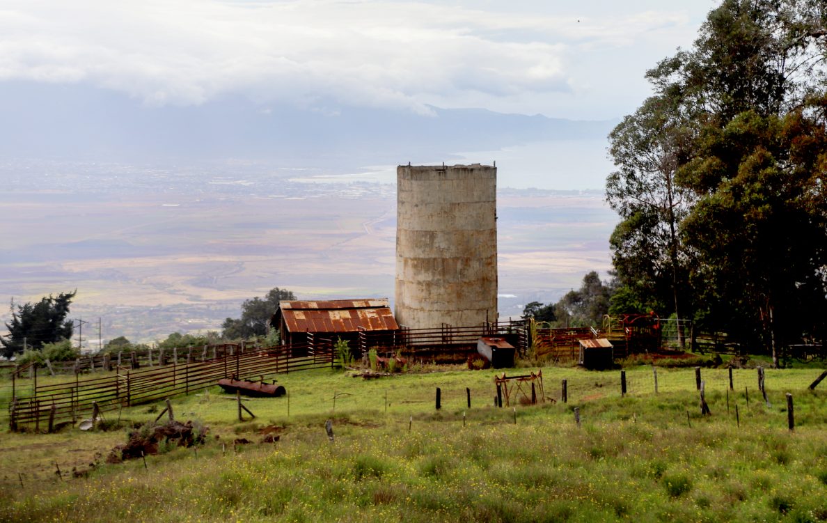 A Maui Rancher Prepares To Lose 3,400 Acres To Conservation - Honolulu ...