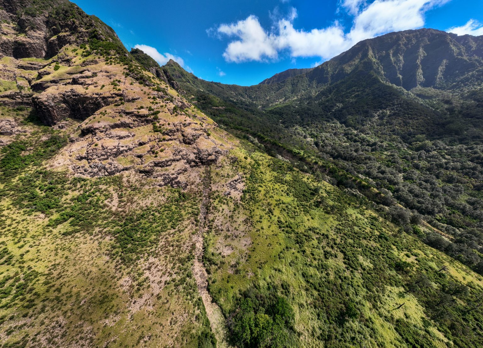 Hawaii Needs To Build Hundreds More Miles Of Firebreaks To Protect ...