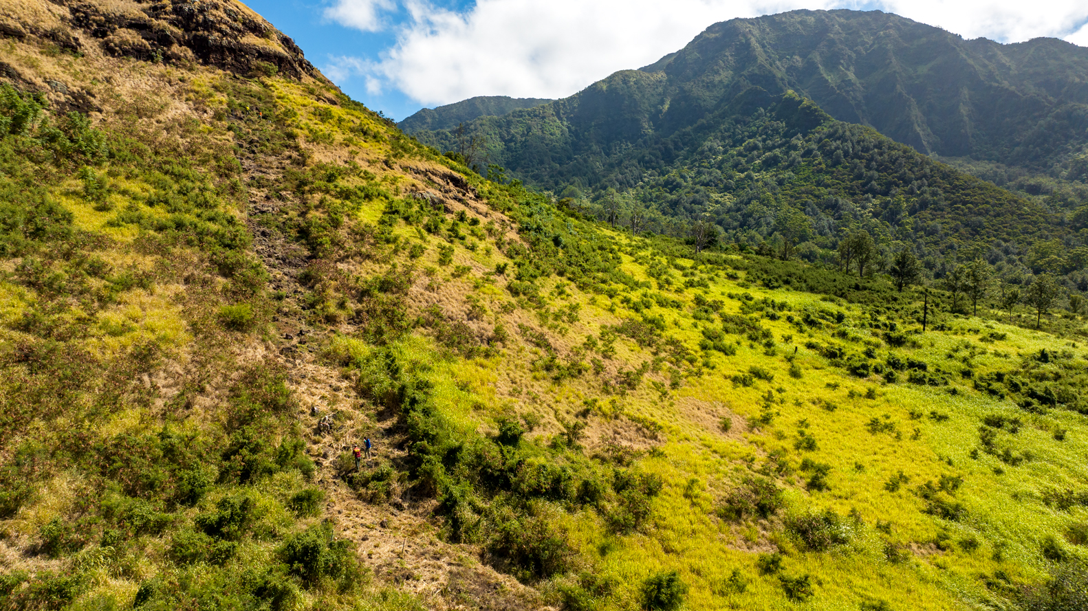 Hawaii Needs To Build Hundreds More Miles Of Firebreaks To Protect ...
