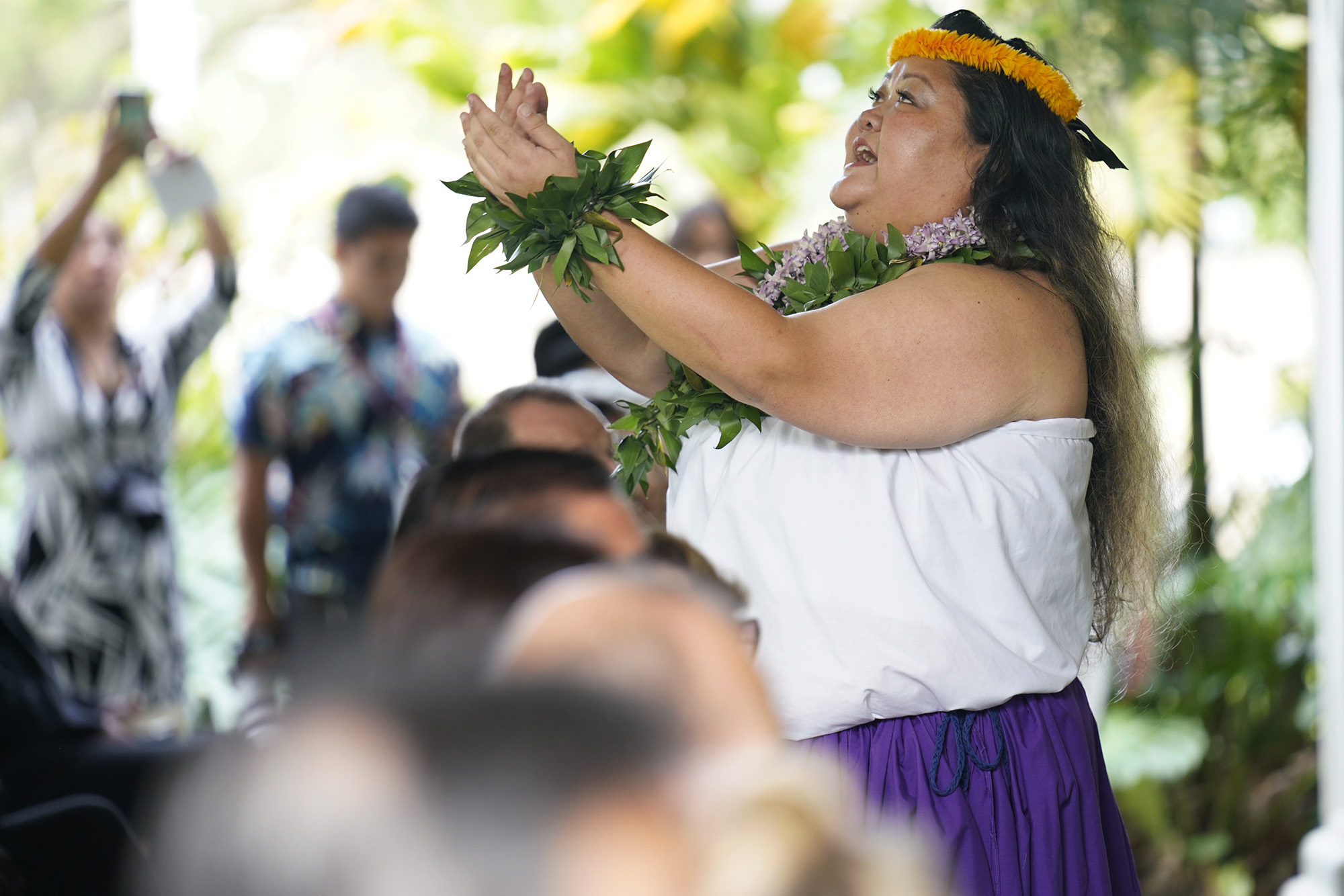 Denby Fawcett: The Poor Condition Of Queen Liliuokalani's Flag Mars ...