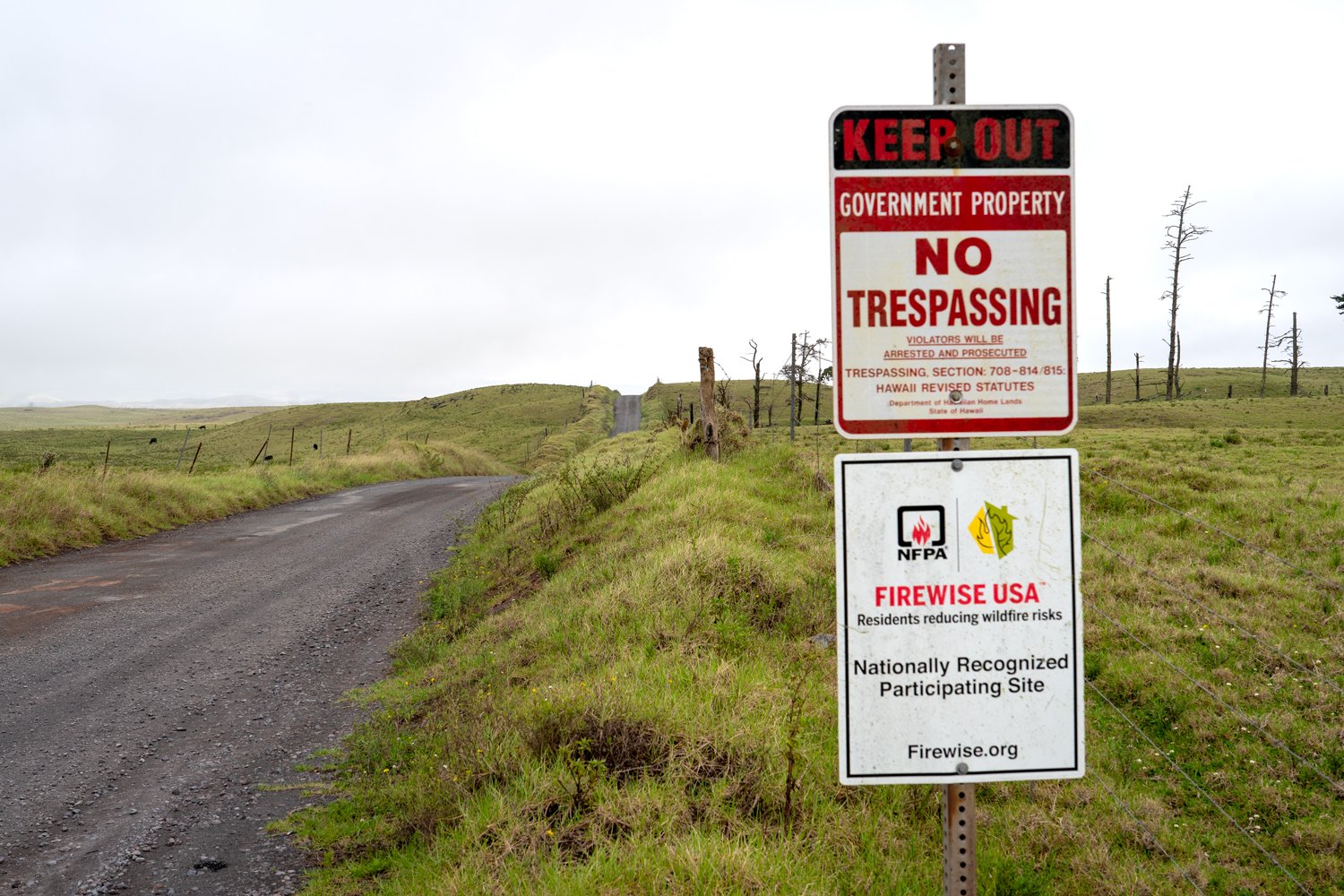 Agricultural Crime Remains Rife Across Hawaiʻi As Security Lags ...