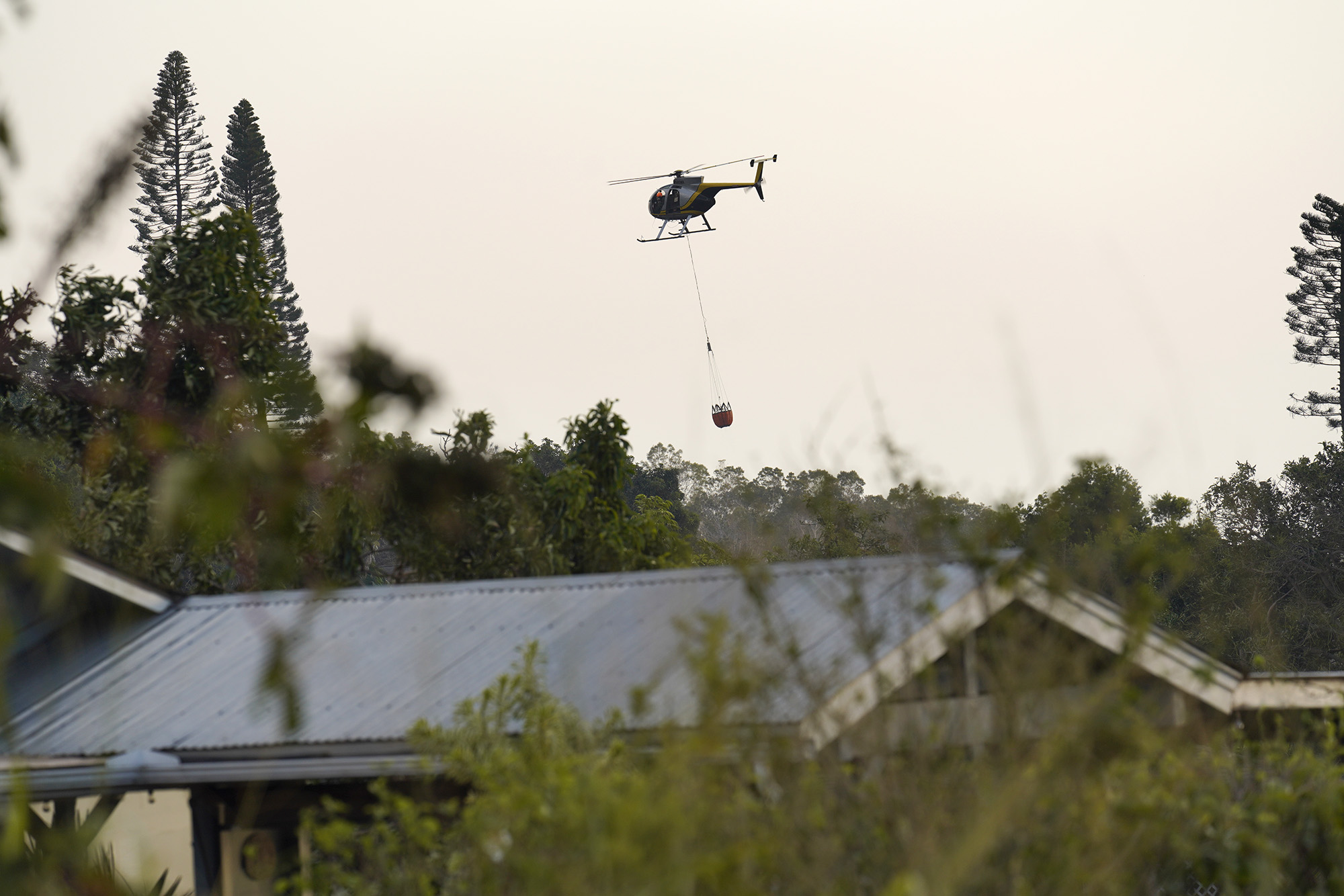 Hawaii Has Long Shortchanged Wildfire Protection: 'We Could Have Saved ...