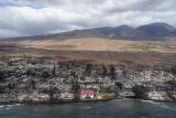 What Saved The 'Miracle House' In Lahaina? - Honolulu Civil Beat