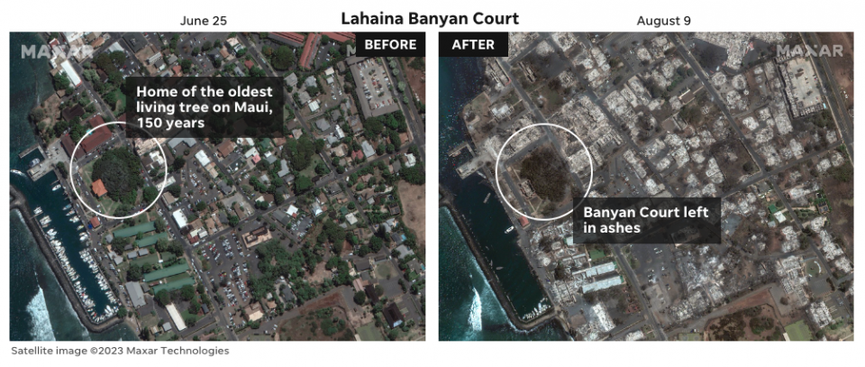 Lahaina Fires Leave Businesses And Livelihoods In Ruins - Honolulu ...