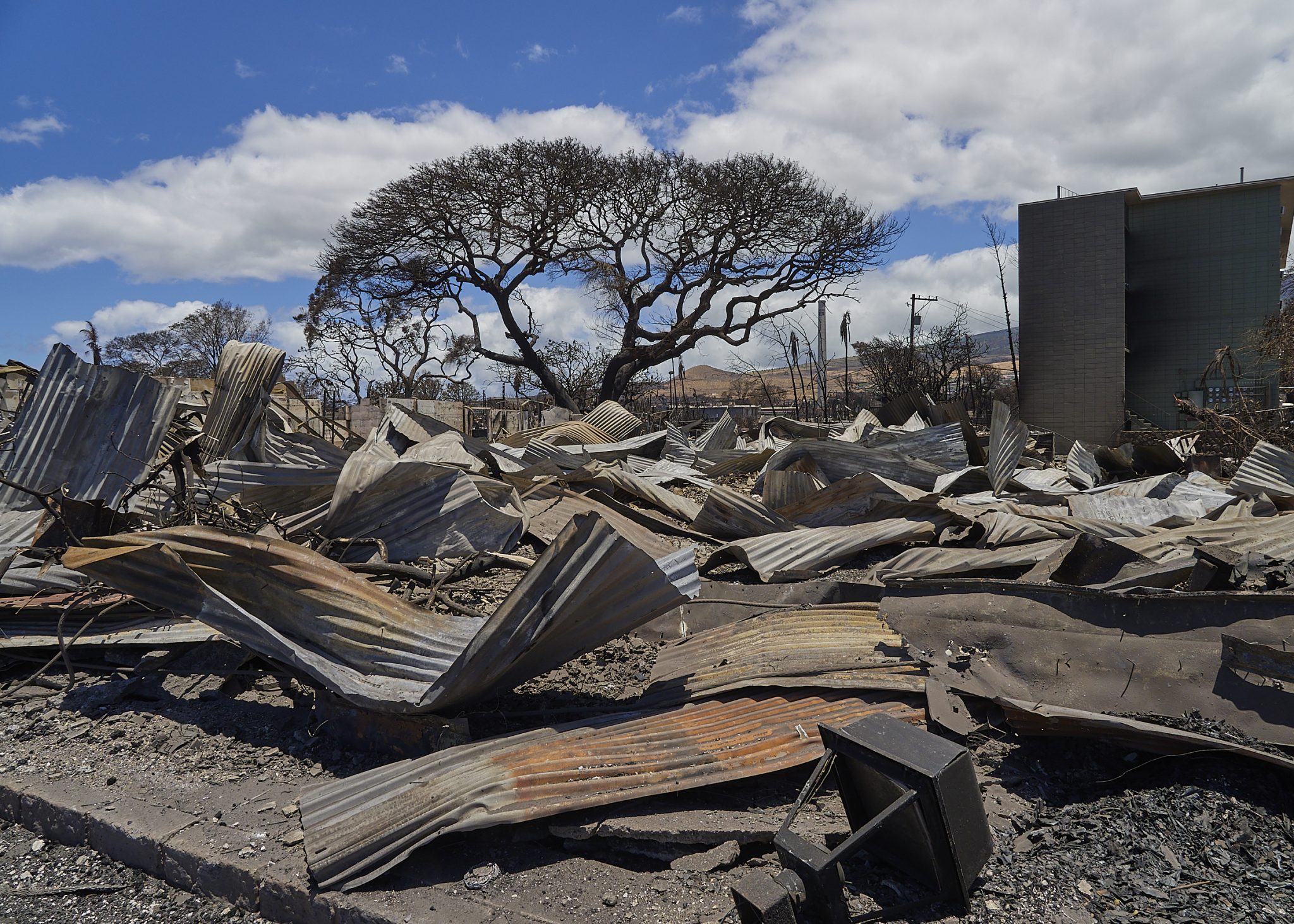 Maui Fire Victims Fight To Keep Lawsuits On Maui - Honolulu Civil Beat