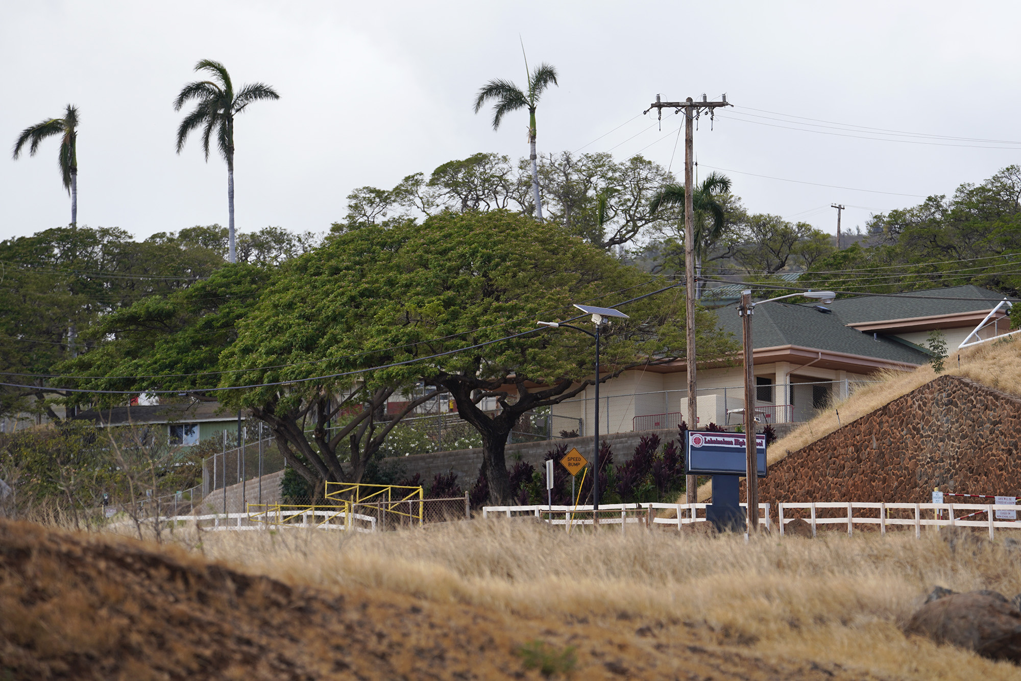 LIVE: Maui Wildfire Photos And Updates, Lahaina And Kula - Honolulu ...