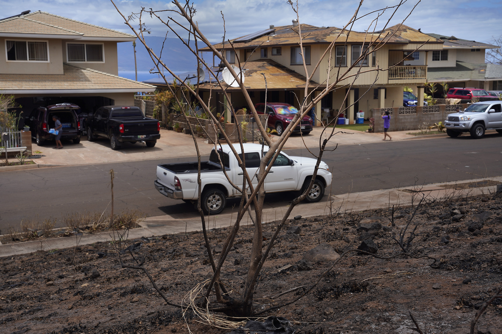 Lahaina Fire Survivors Struggle To Put Lives Back Together - Honolulu ...