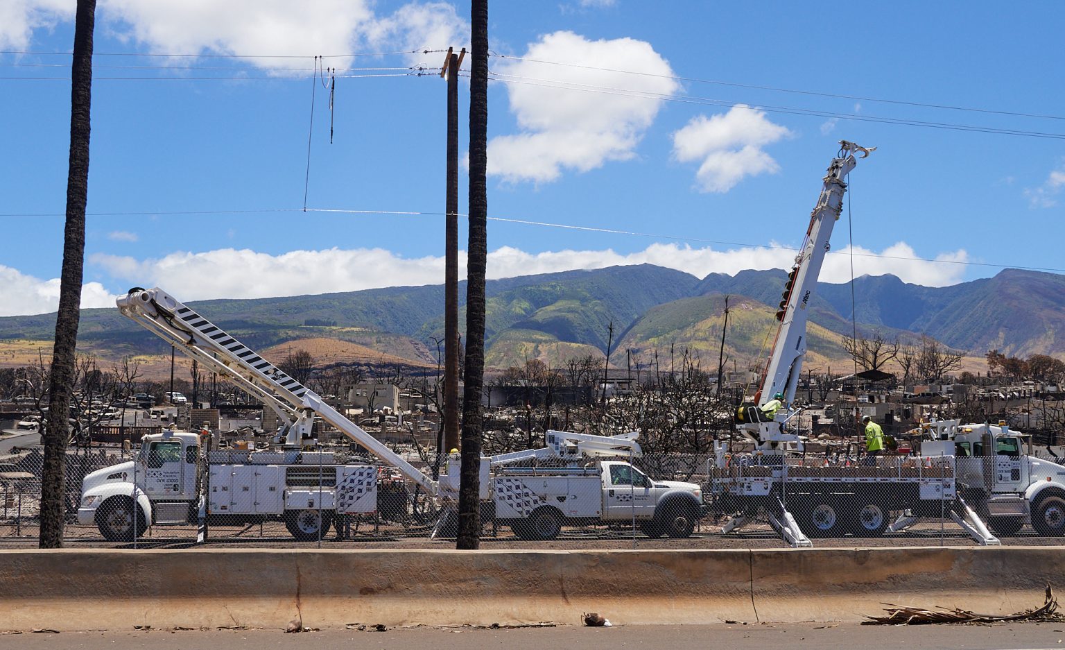 Hawaiian Electric Industries Hires Utility Bankruptcy Expert As CFO ...