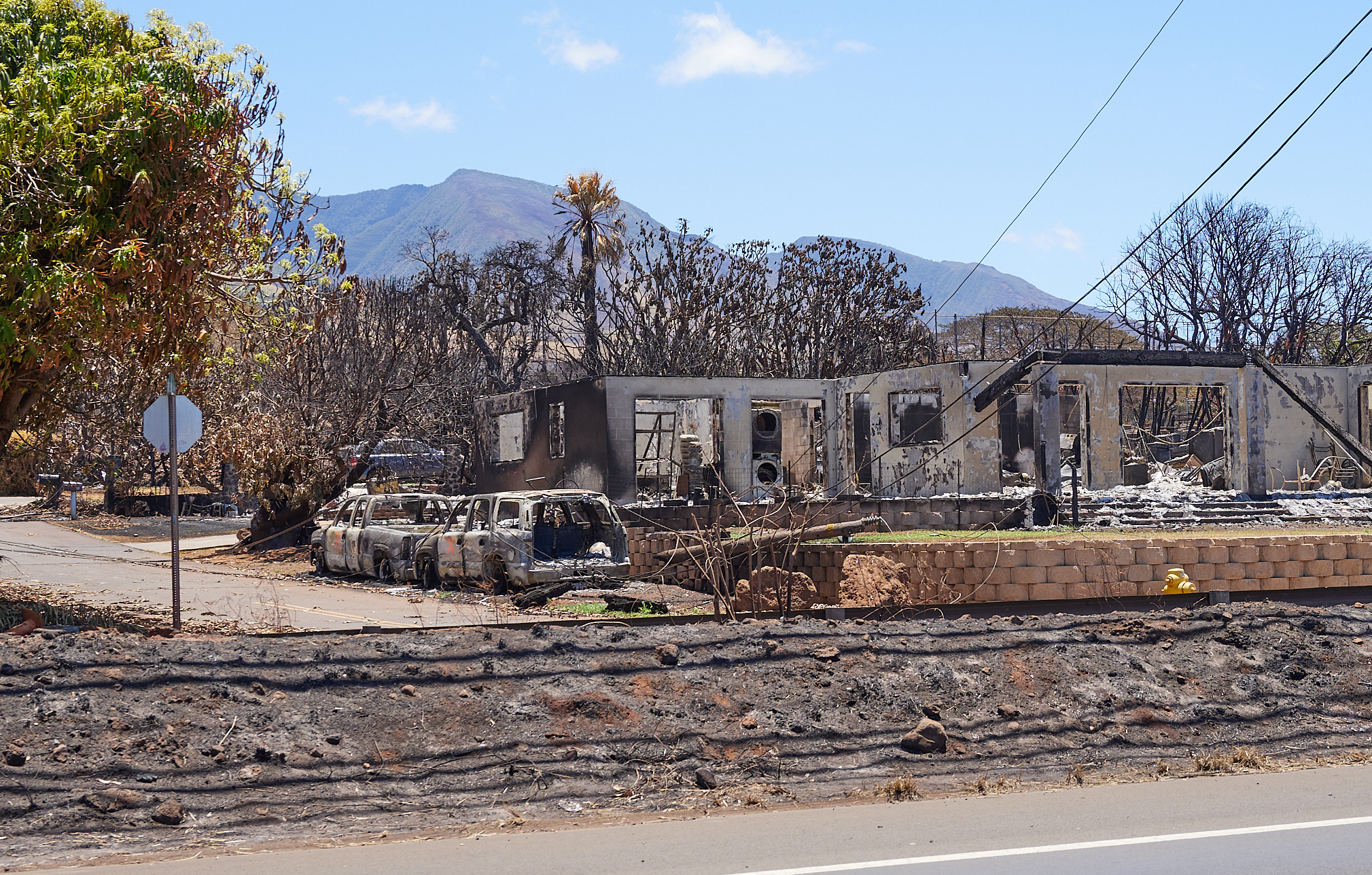 These Maui Tenants Didn’t Lose Their Homes In The Fire, But They’re ...