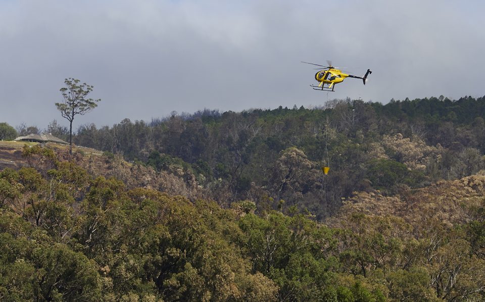 Maui's Fire And Winds Also Took A Toll On Farmers And Ranchers ...
