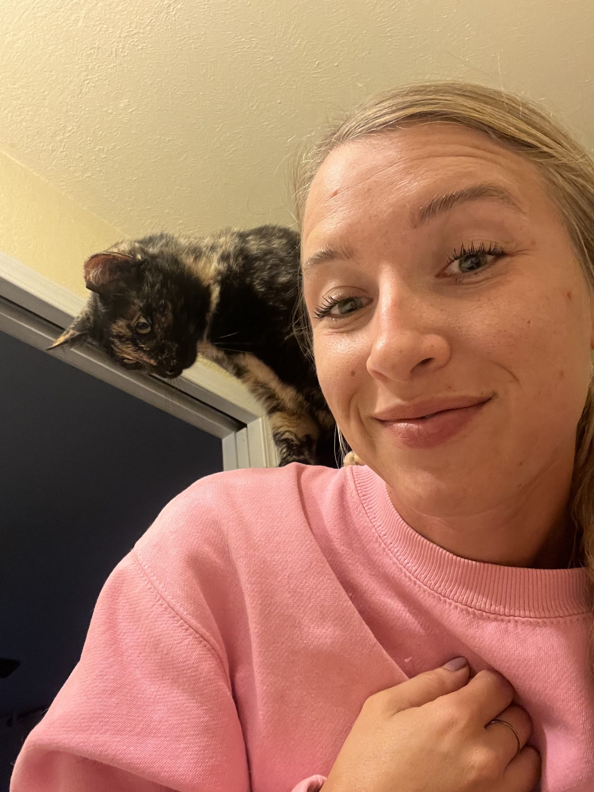 These Maui Tenants Didn’t Lose Their Homes In The Fire, But They’re ...