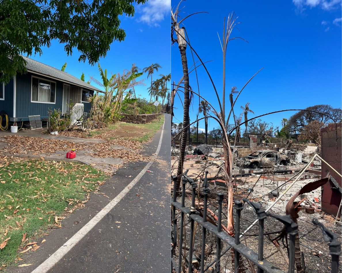 Going Home To Lahaina Won't Happen Anytime Soon For Many Fire Victims ...