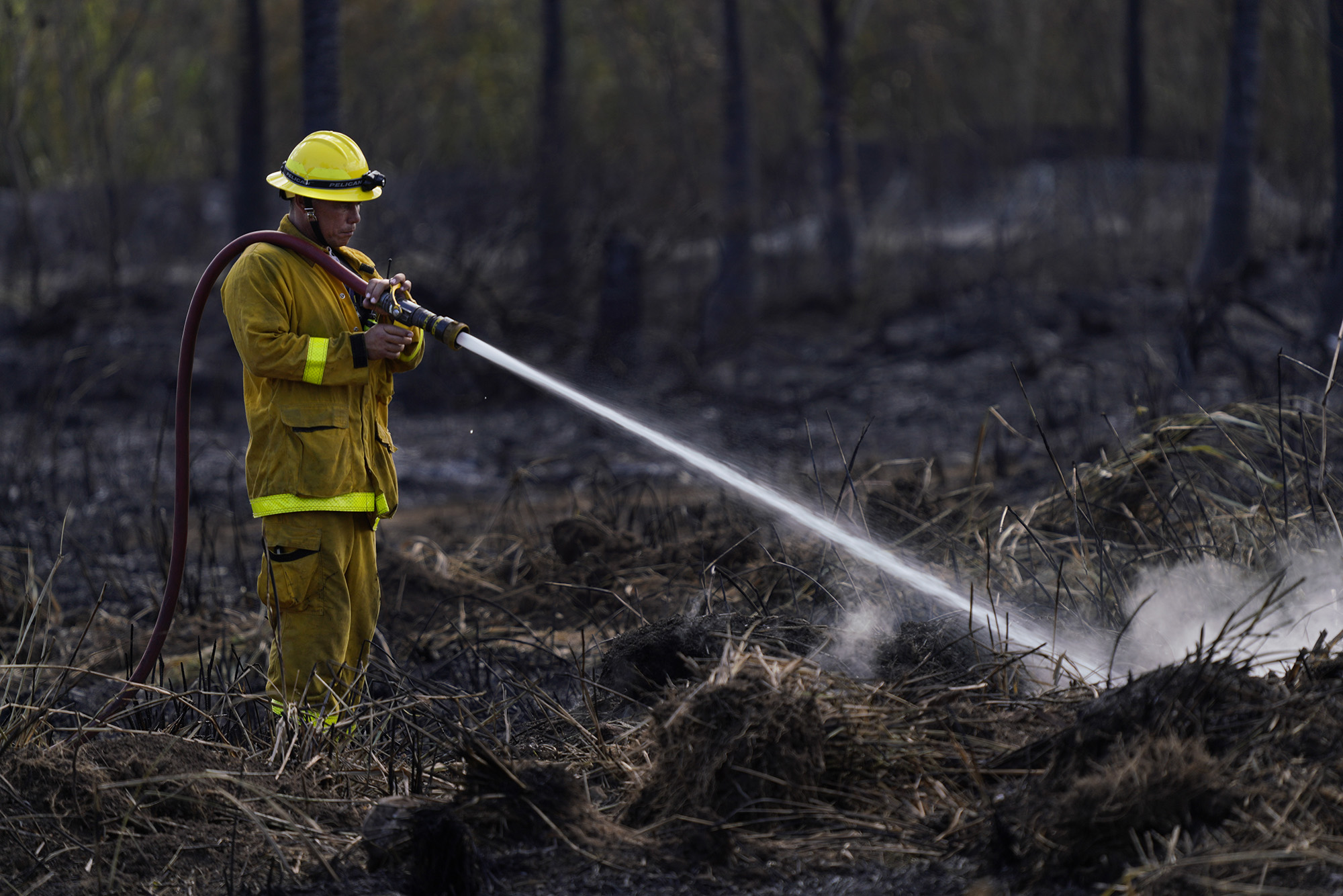 Volunteer Firefighters Are Big On The Mainland. Not So Much In Hawaii ...