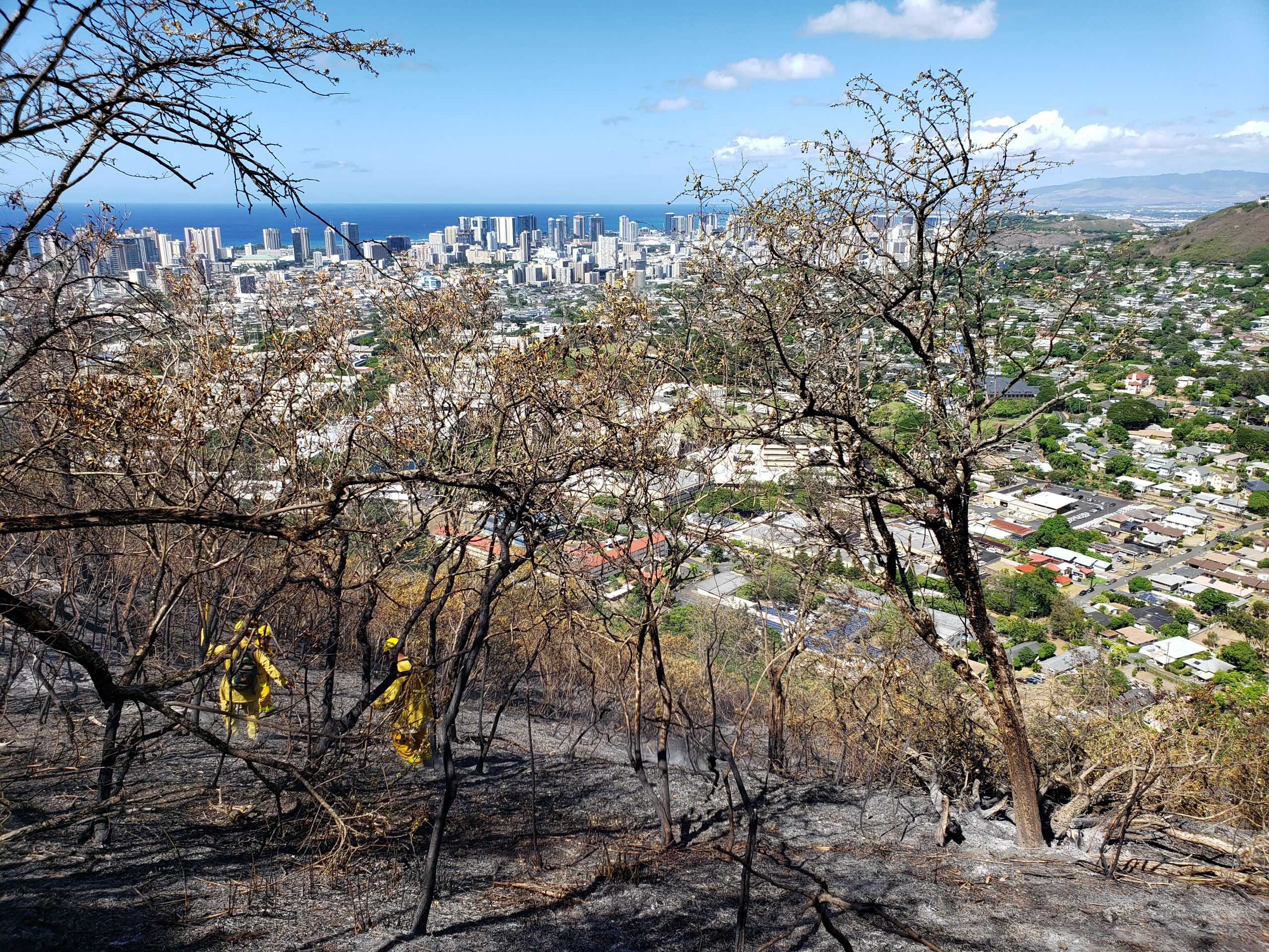 Federal Wildfire Grant Opportunities Open For Hawaii - Honolulu Civil Beat