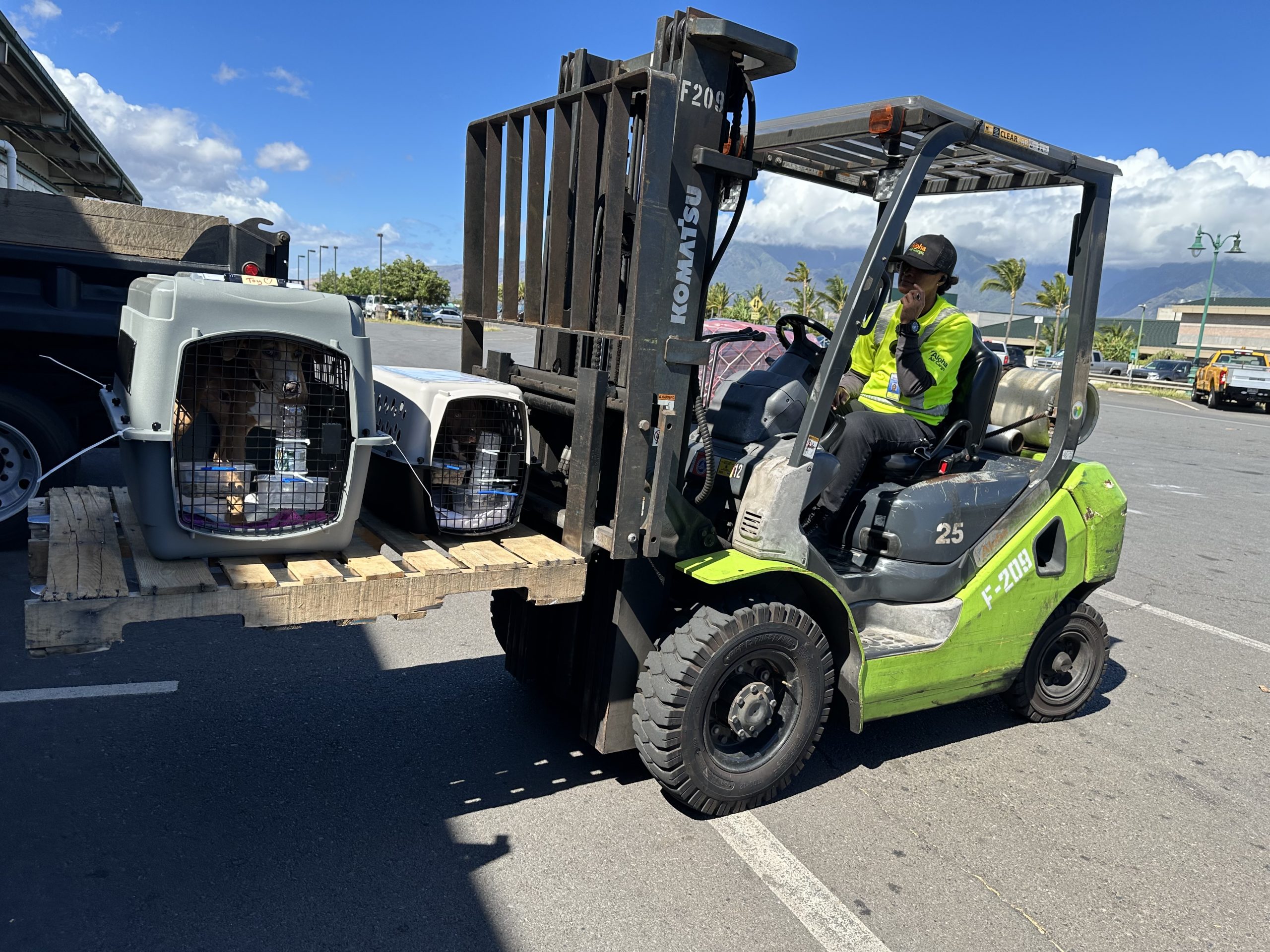 How Will The Maui Strong Fund Be Spent? - Honolulu Civil Beat