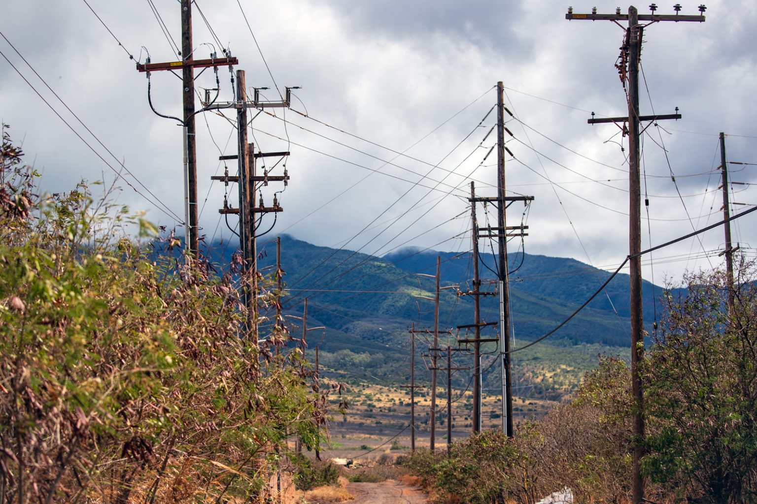 Hawaiʻi's Top Stories Of 2024: How Civil Beat Covered A Year Of ...