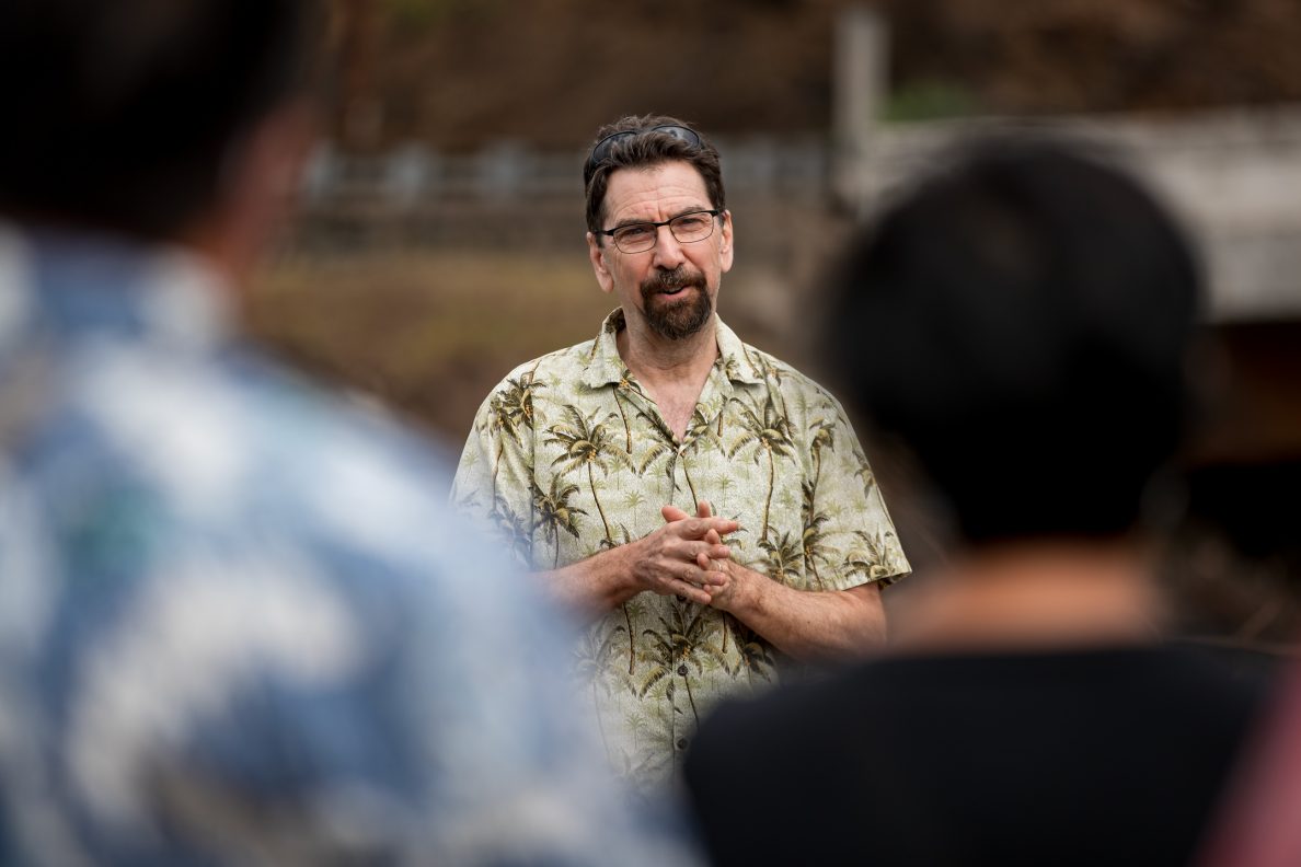 Feds Want To Plant Invasive Grasses To Control Soil After Maui Fires ...