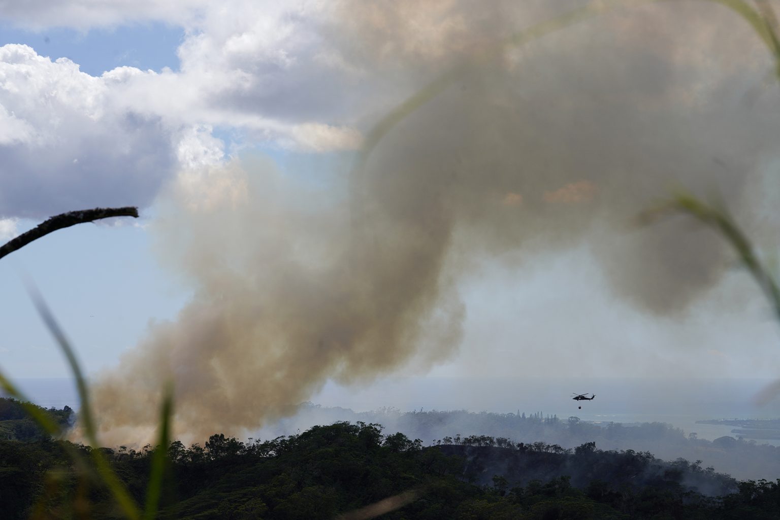 Hawaiian Electric Unveils Wildfire Mitigation Measures - Honolulu Civil ...